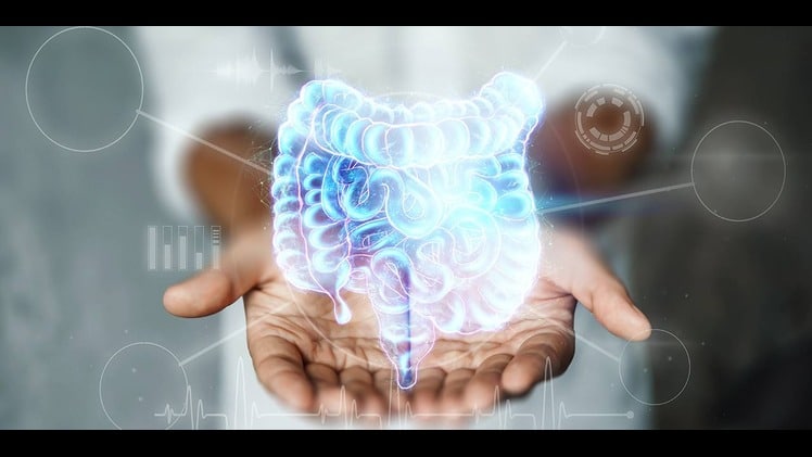 Understanding Gut Health: The Key to Overall Well-being