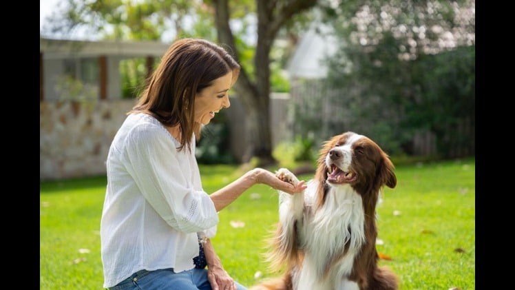 Comprehensive Guide on When To Start Your Furry Friend’s Training Schedule!