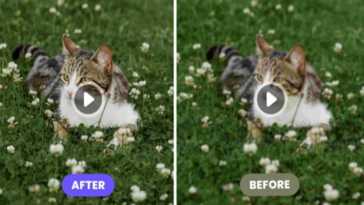 Top 10 Video Quality Enhancers: Improving Clarity and Detail